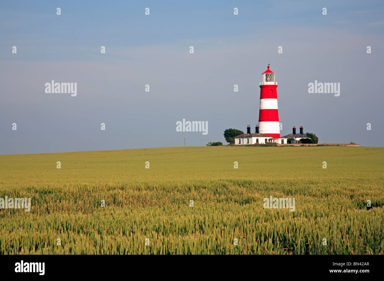 Happisburgh lighthouse, Norfolk, England, United Kingdom, viewed over a ...