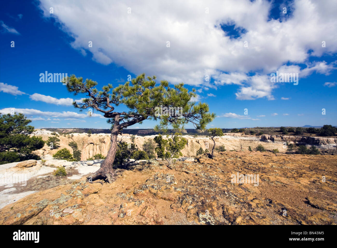 El morro national monument hi-res stock photography and images - Alamy