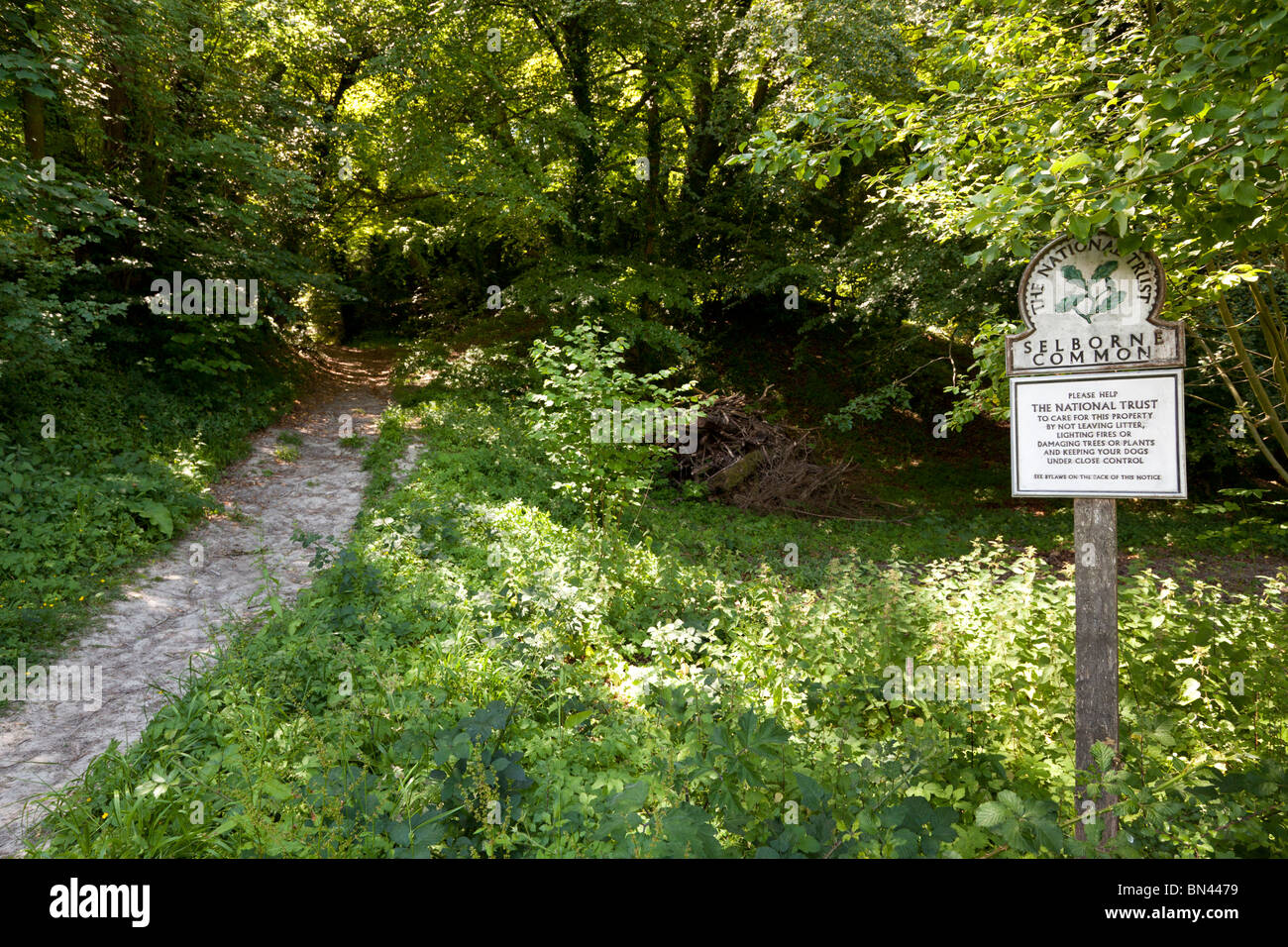 National Trust Selborn Common sign by footpath to Selborn Hanger woods ...
