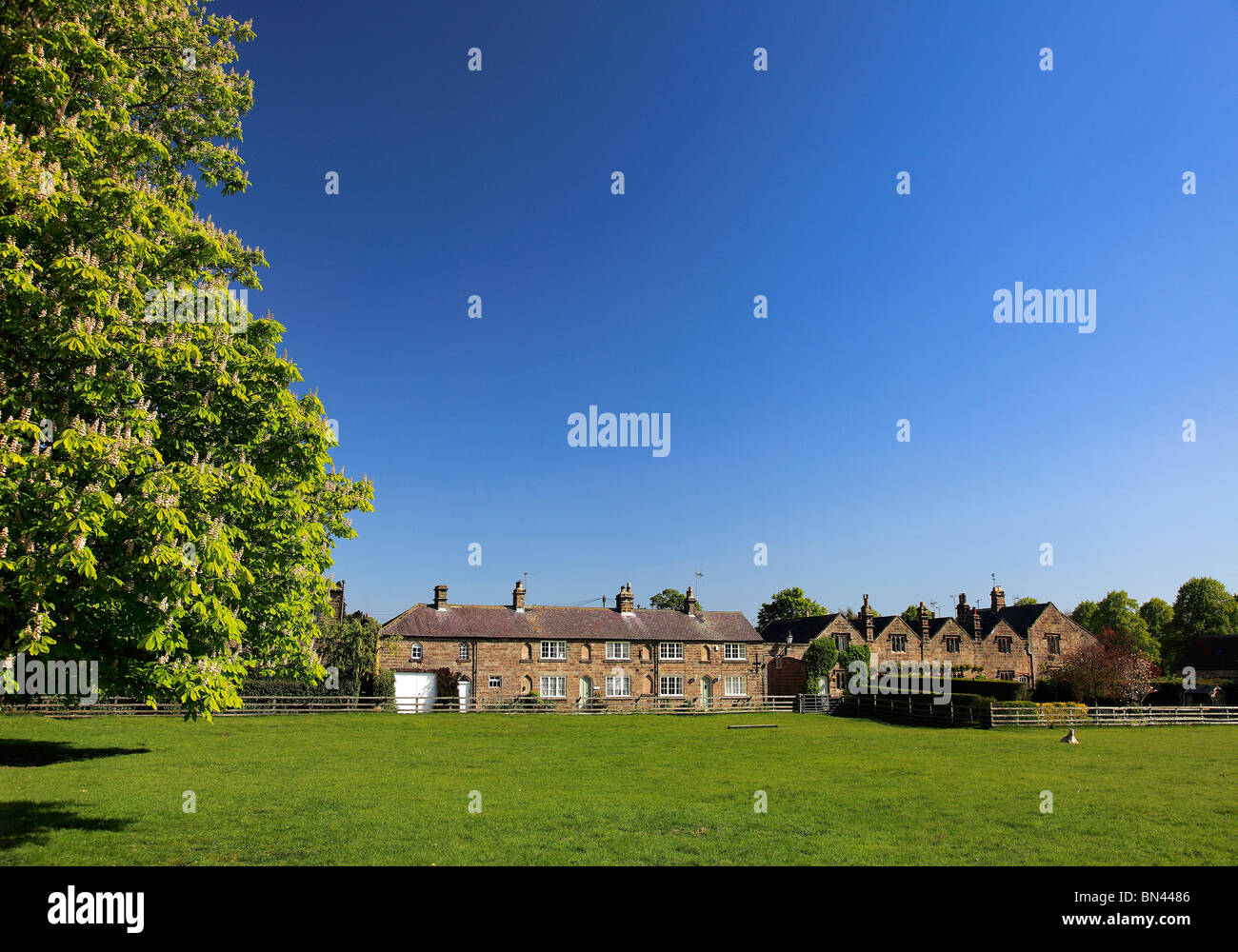 Sandstone cottages bordering a grass meadow; Ripley village; Yorkshire ...