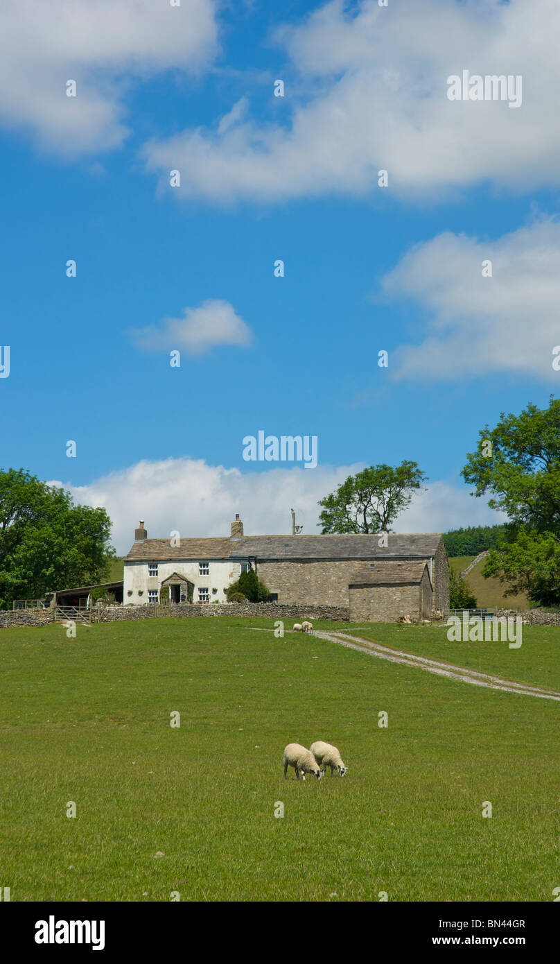 Laithe Butts farm near Clapham, Yorkshire Dales National Park, North ...