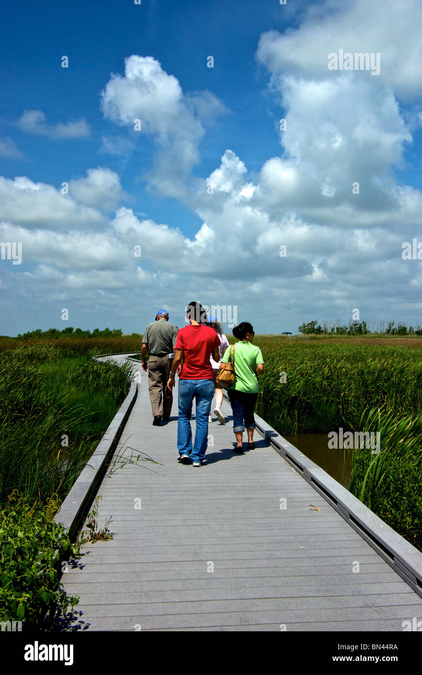 Sabine National Wildlife Refuge wetland concrete walkway over bayou ...