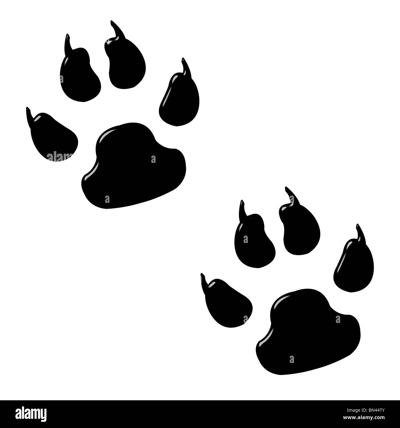 Animal dog print concept Cut Out Stock Images & Pictures - Alamy