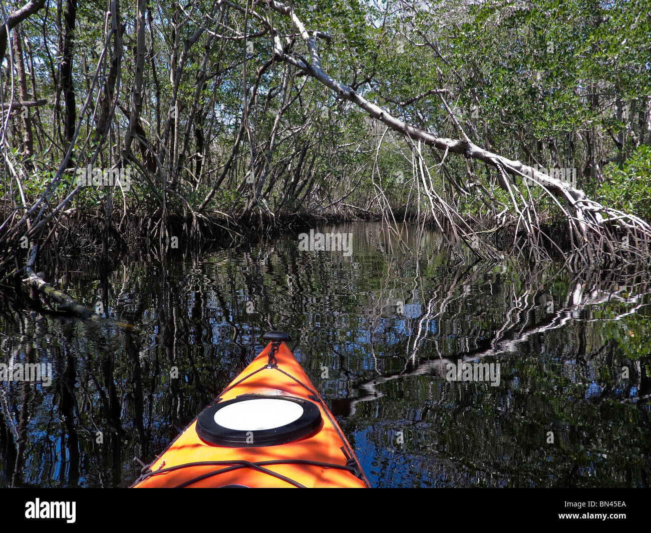 Everglades national park canoe hi-res stock photography and images - Alamy