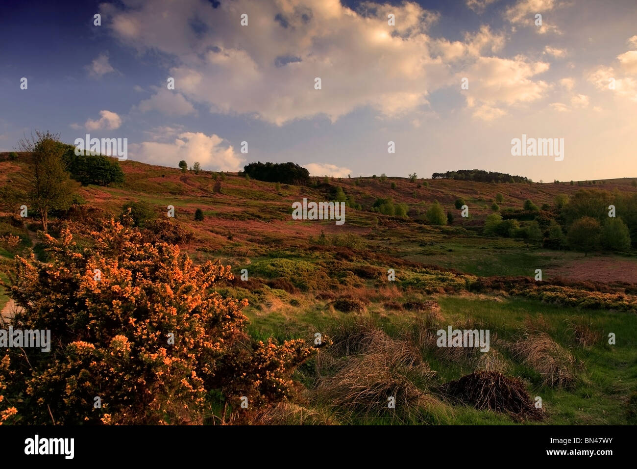 Summer rural areas sunset hi-res stock photography and images - Alamy