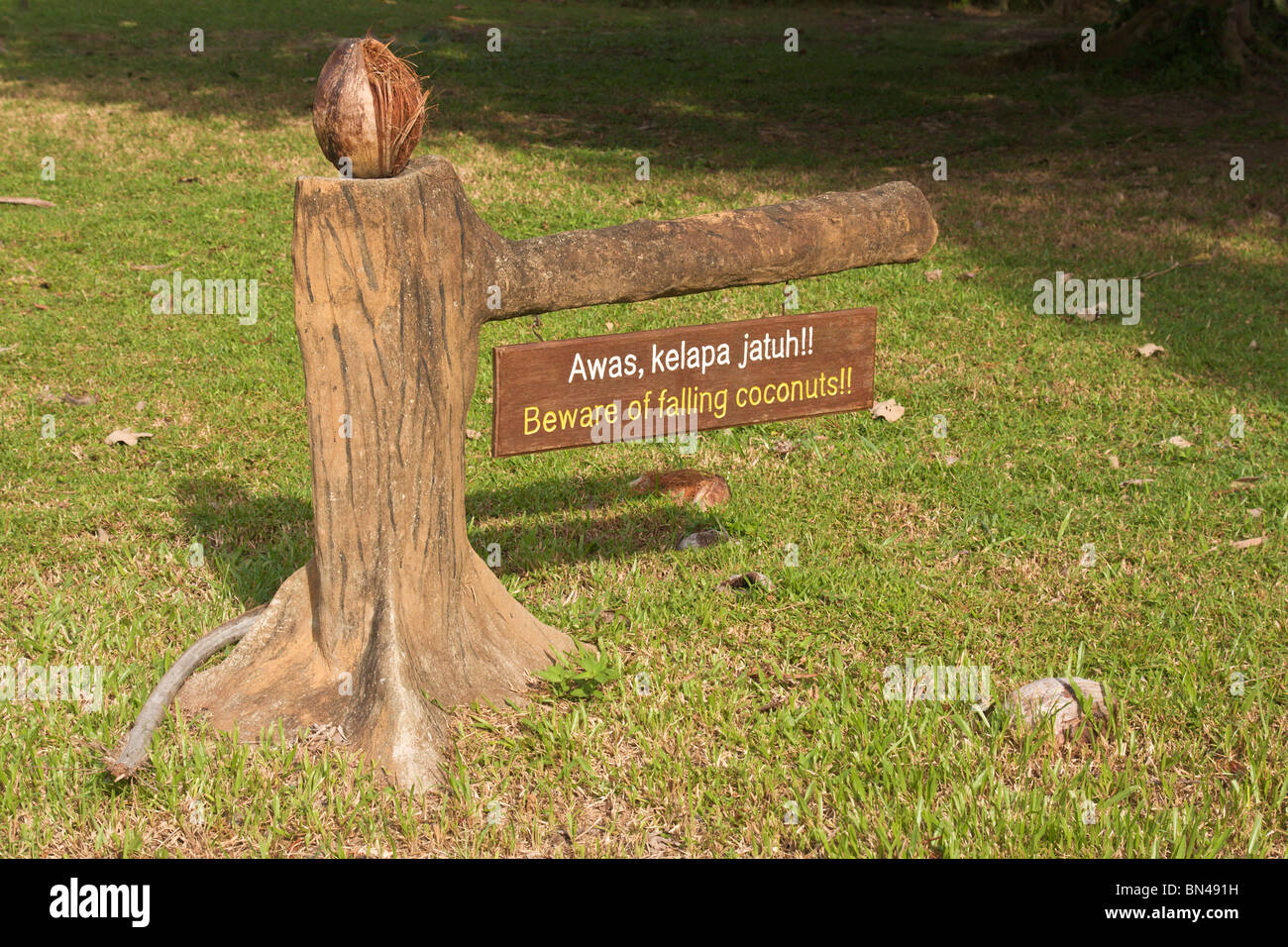 Coconuts falling warning sign Stock Photo - Alamy