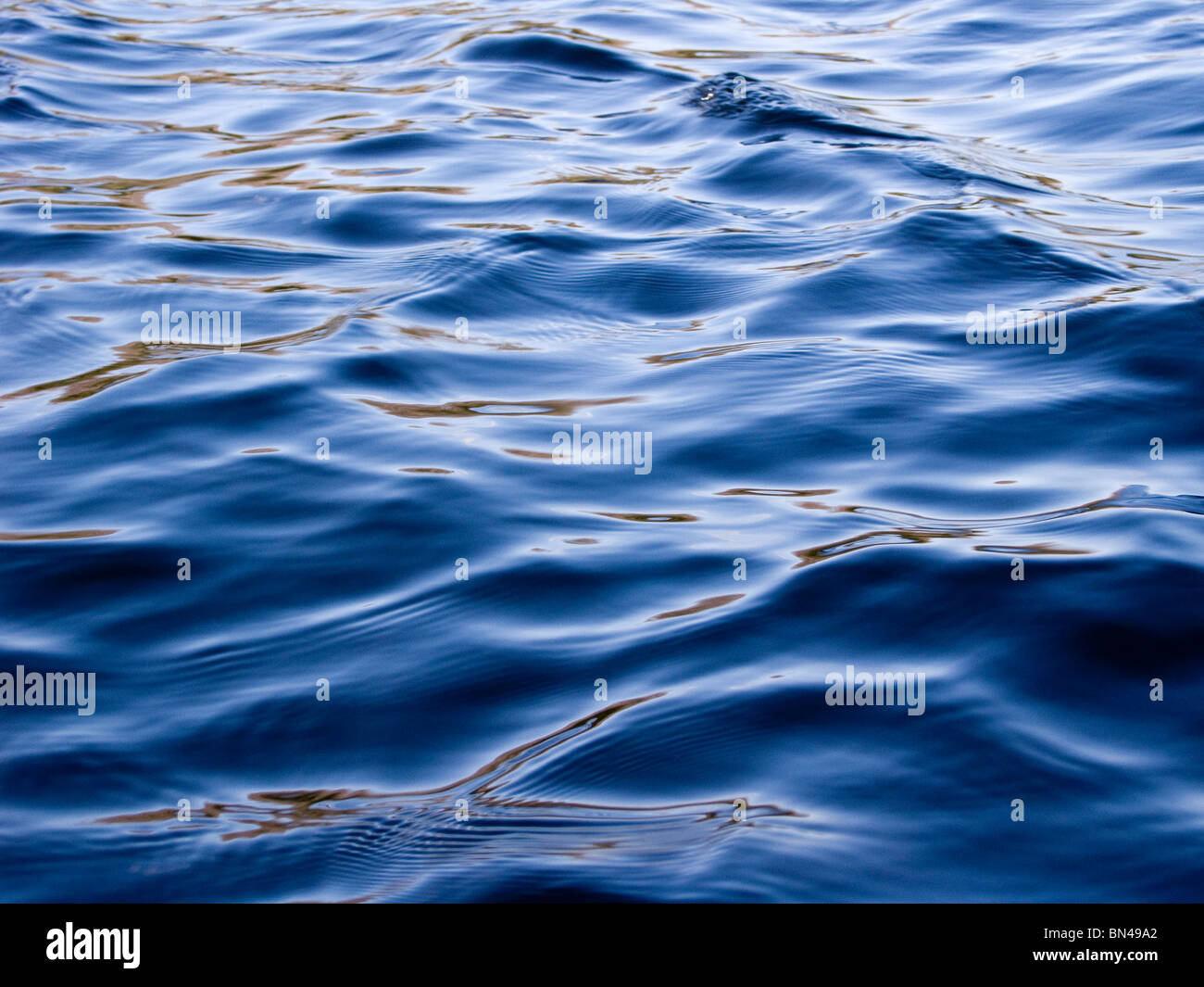Turner river everglades national park hi-res stock photography and ...