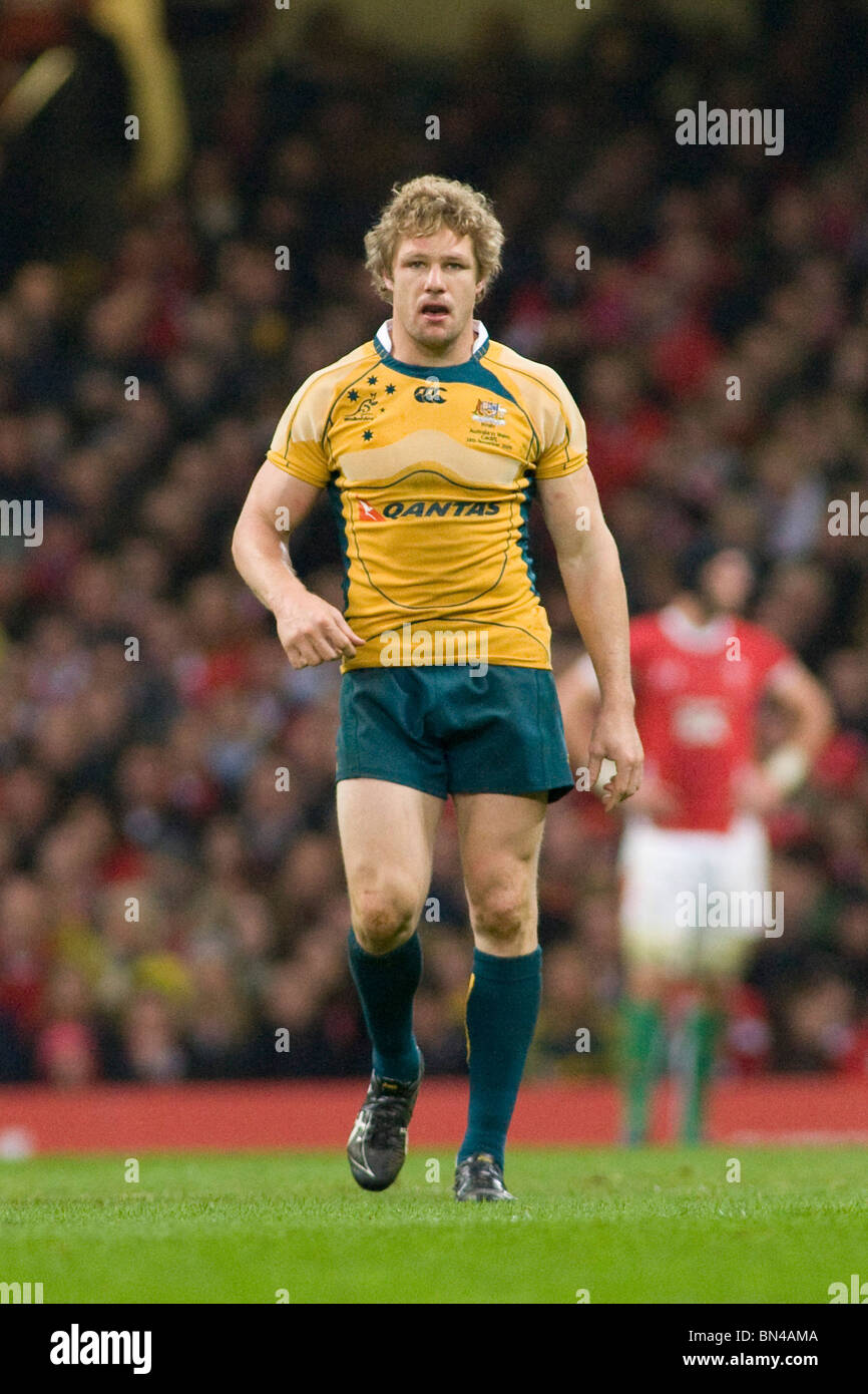 An australia rugby fan hi-res stock photography and images - Alamy