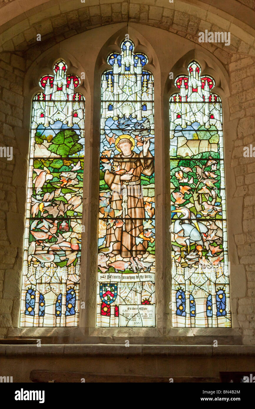 Stained glass window to St Francis in the church of St Mary in Selborne ...
