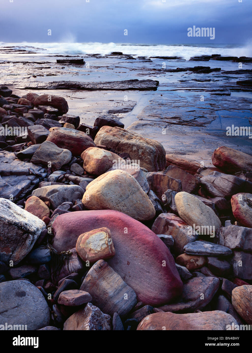 Boulder zone at Wombarra rock platforms, Wombarra, NSW Australia Stock ...