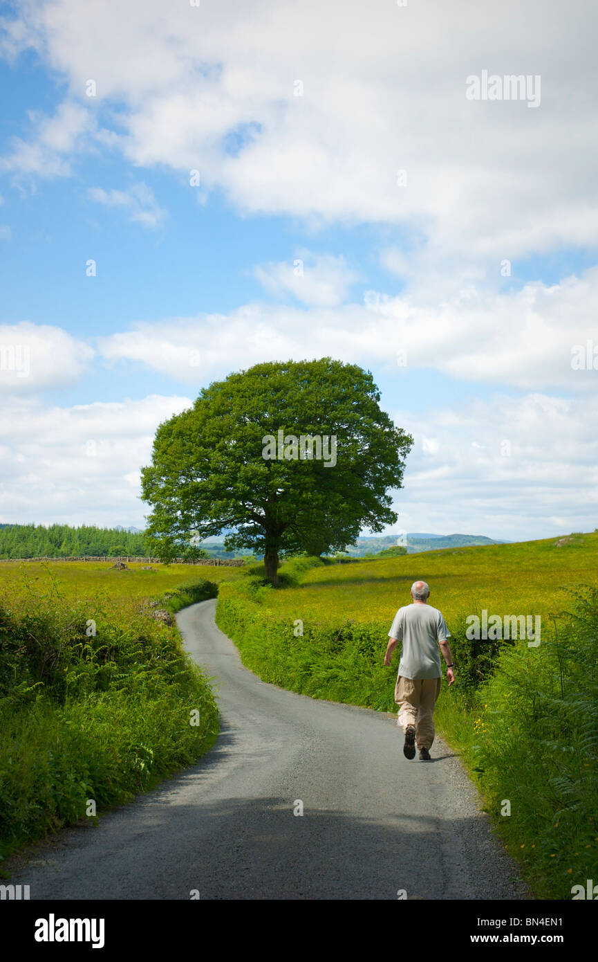 Man walking along quiet country lane, Cumbria, England UK Stock Photo ...