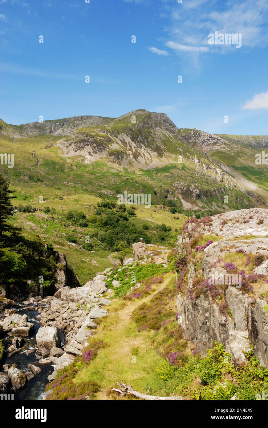 Foel Goch with the Ogwen Falls ( Afon Ogwen ) below in the Nant ...