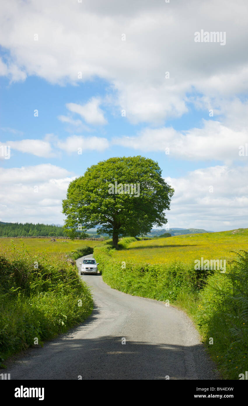Car country lane uk narrow hi-res stock photography and images - Alamy