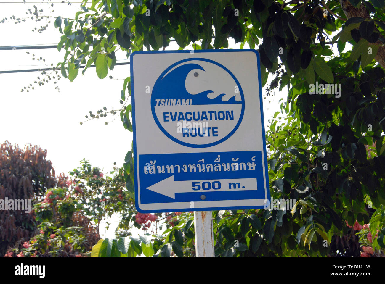 A tsunami evacuation sign showing recommended route of escape in event ...