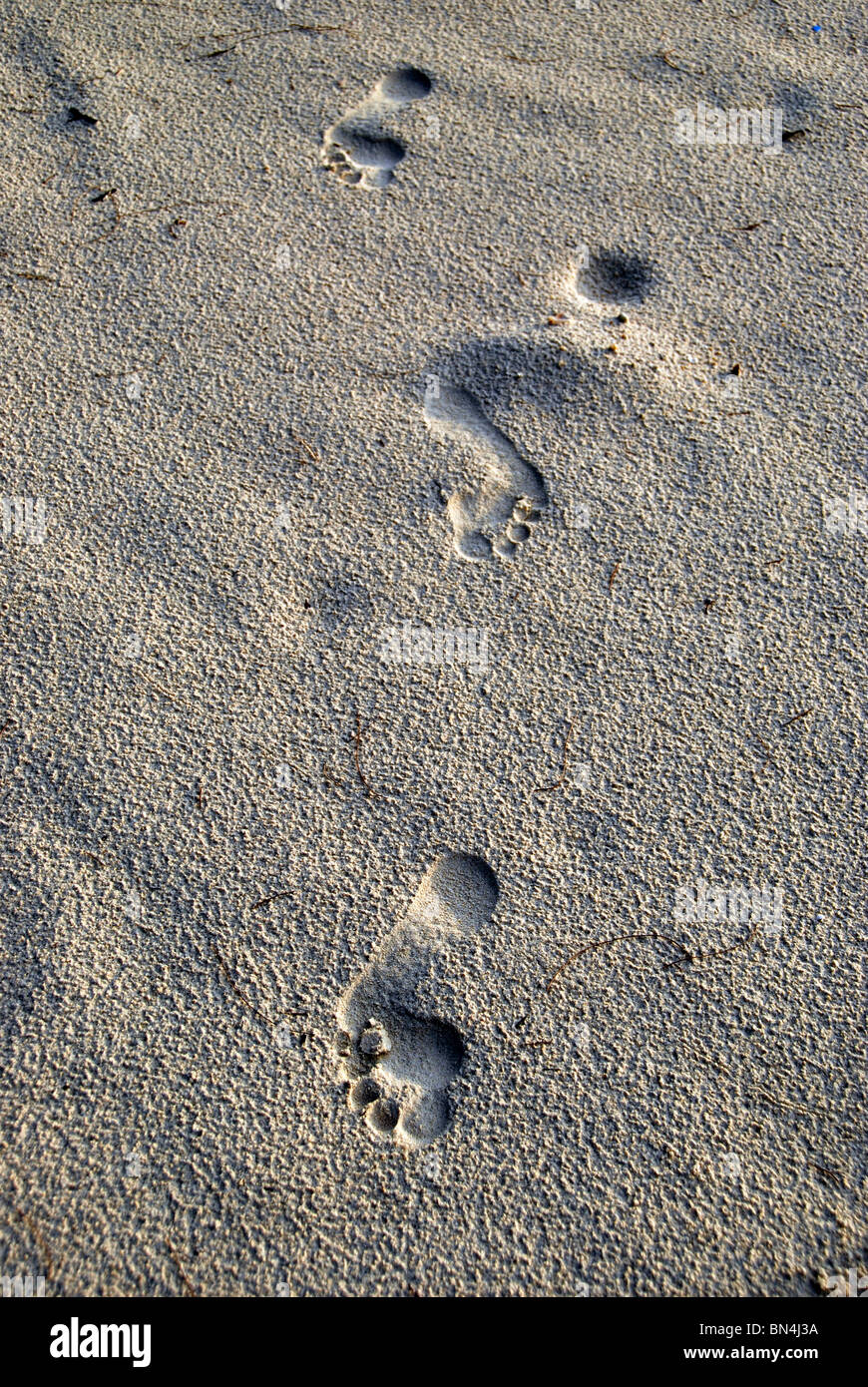 Footprints in sand koh lanta beach hi-res stock photography and images ...