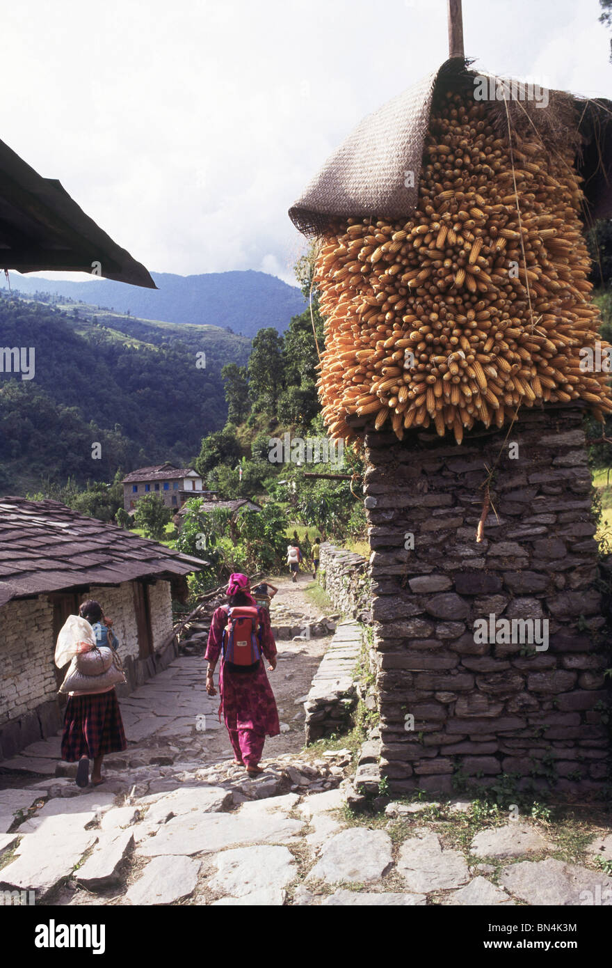 Bhutta village hi-res stock photography and images - Alamy