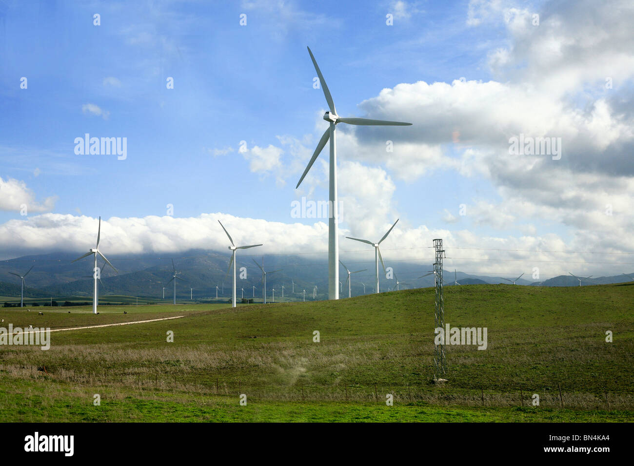 Spain, Andalusia, Wind turbines at the open spaces of western Spain ...