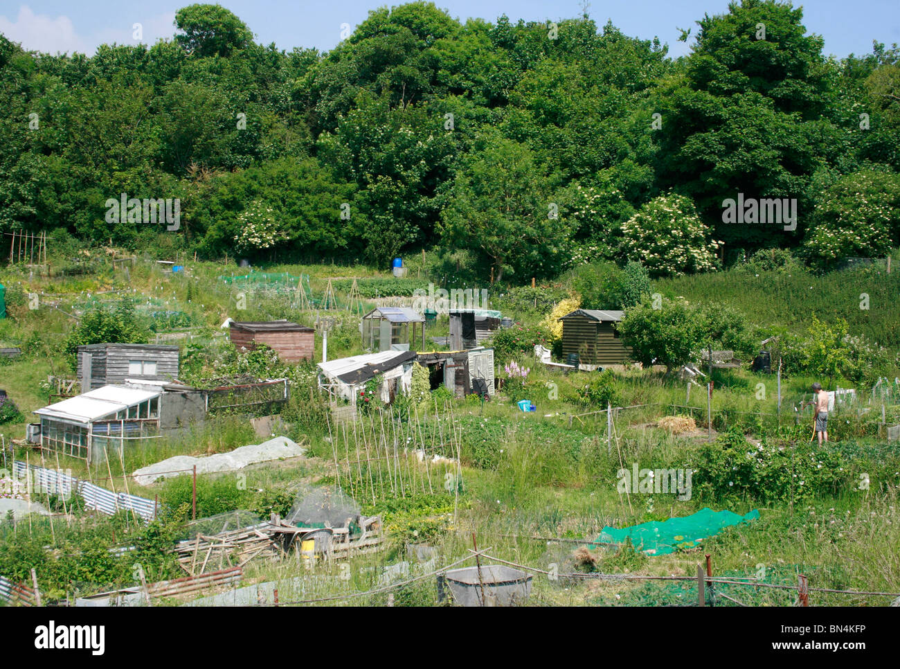 Allotments uk hi-res stock photography and images - Alamy