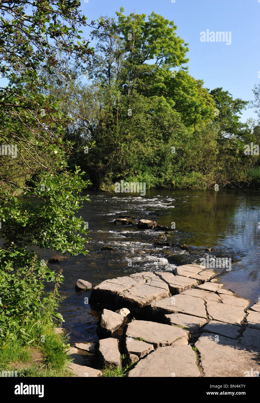 River bank stones trees hi-res stock photography and images - Alamy
