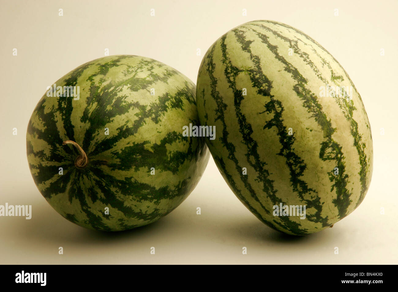 Fruits ;Two full watermelons with light and dark green stripes watery ...
