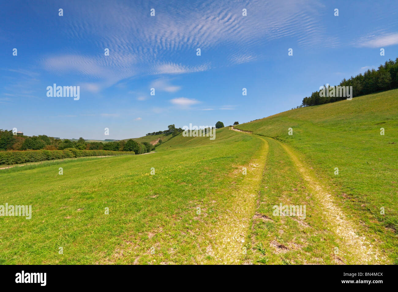 Chalk path near Thixendale on the Yorkshire Wolds, North Yorkshire ...