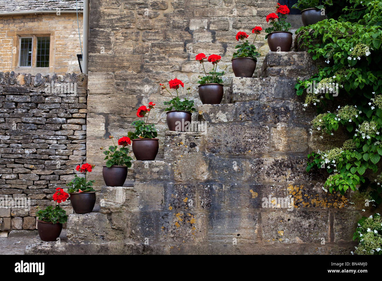 Geraniums in pots hi-res stock photography and images - Alamy