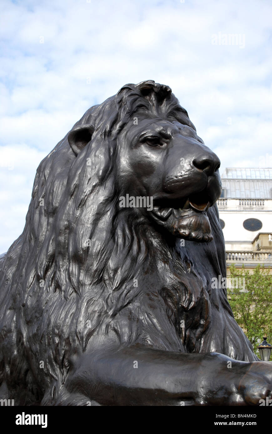 Lion Statue England