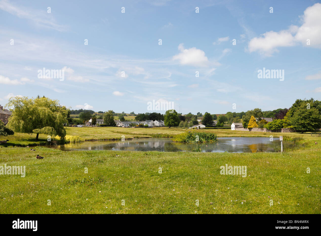 Duck Pond Caldbeck, The Lake District Cumbria sunny summers day with ...