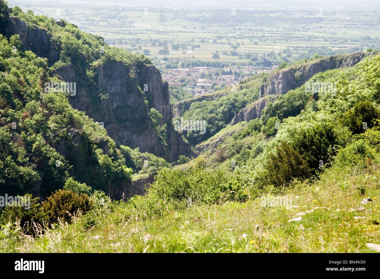 Plain of somerset hi-res stock photography and images - Alamy
