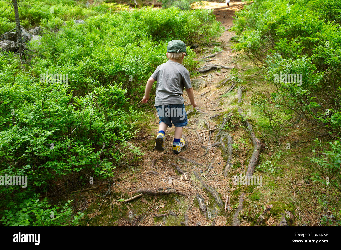Children exploring in forest - boys playing outdoors Stock Photo - Alamy