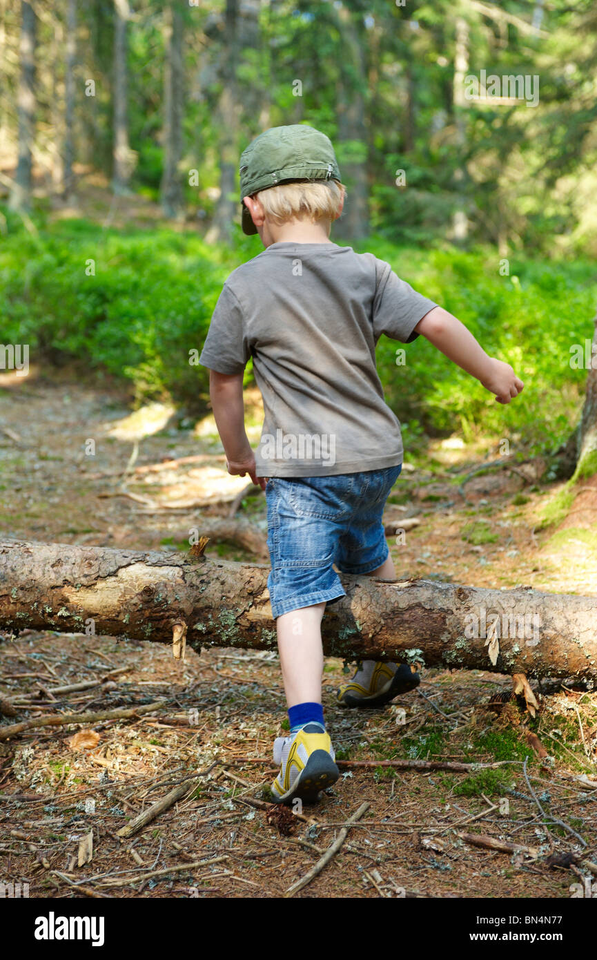 Children exploring in forest - boys playing outdoors Stock Photo - Alamy