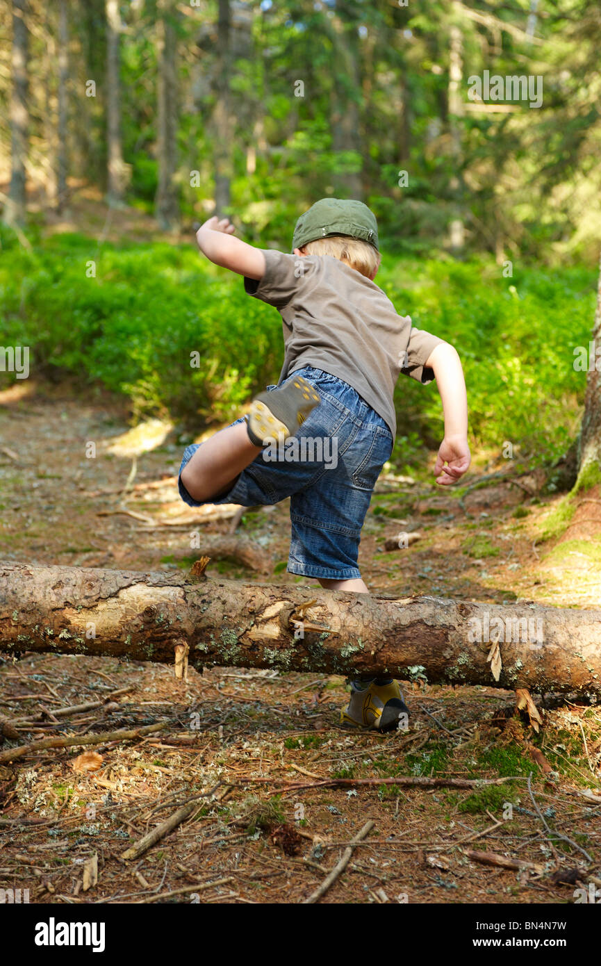 Children exploring in forest - boys playing outdoors Stock Photo - Alamy