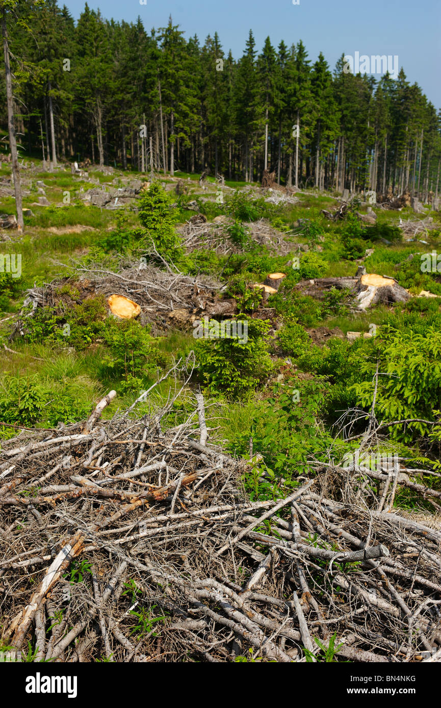 Spicak hill, Zelezna Ruda, NP Sumava, Ceska republika Stock Photo - Alamy