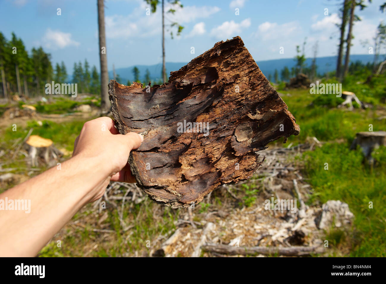 Spicak hill, Zelezna Ruda, NP Sumava, Ceska republika Stock Photo - Alamy