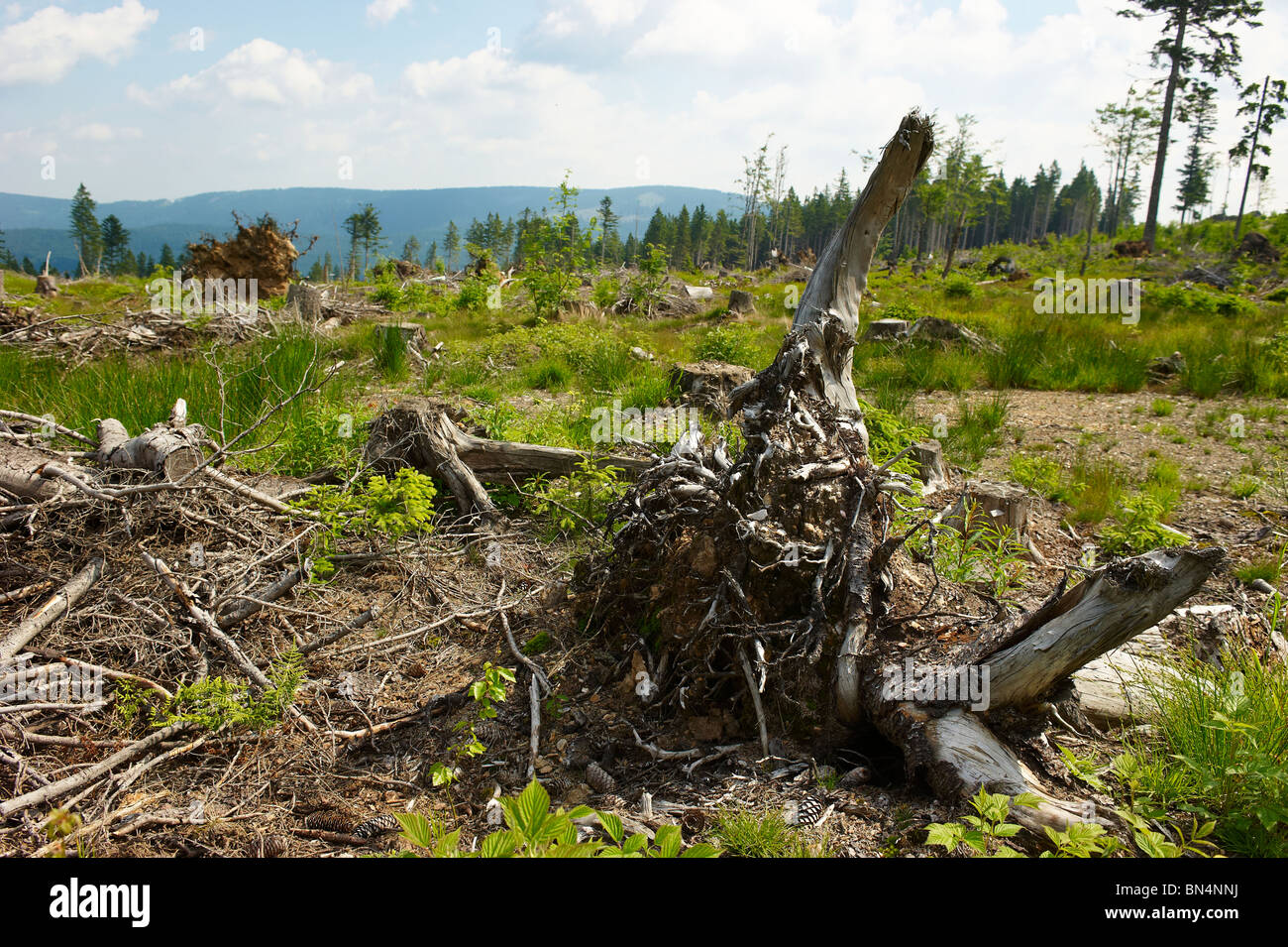 Spicak hill, Zelezna Ruda, NP Sumava, Ceska republika Stock Photo - Alamy