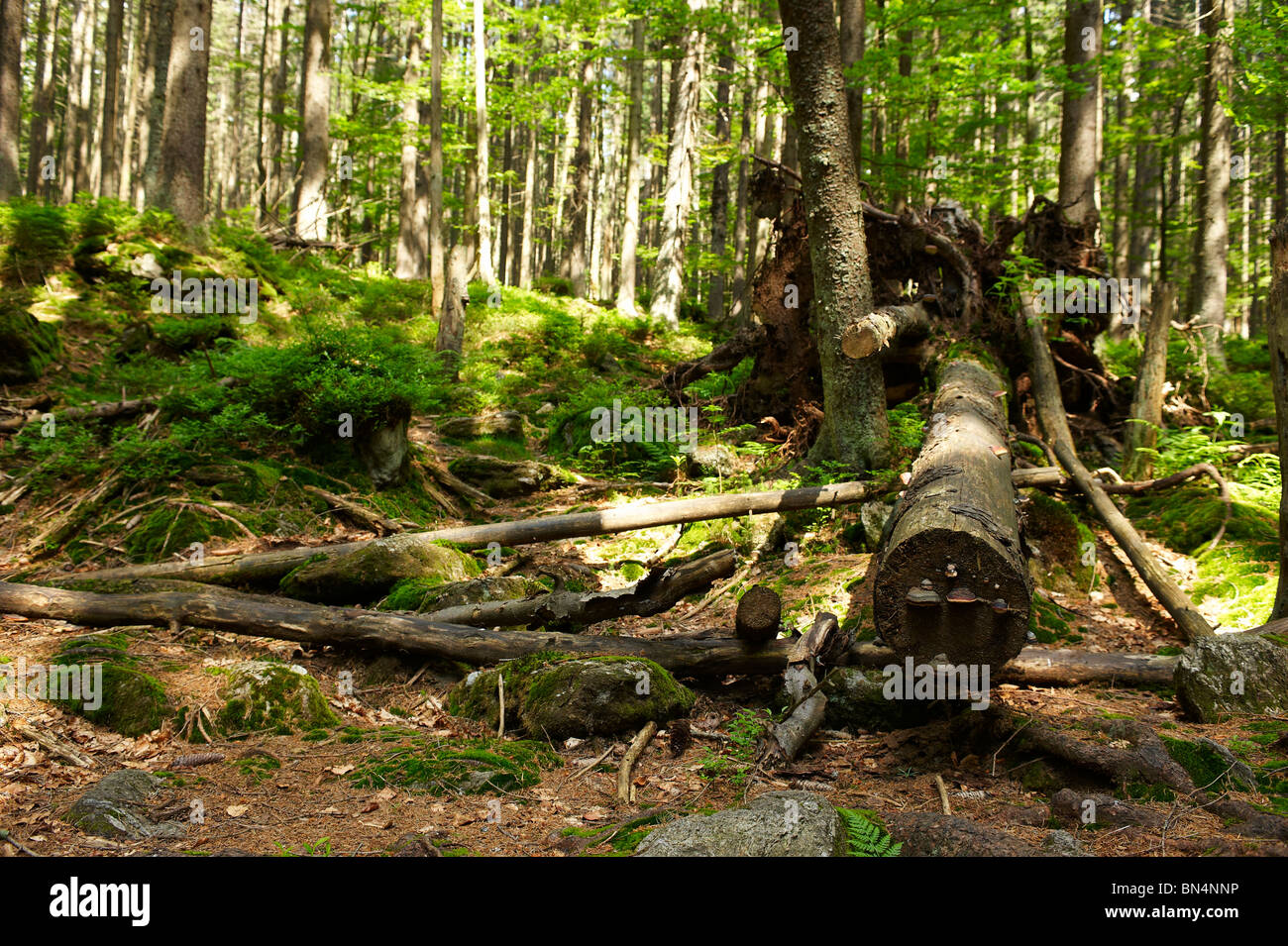 Zelezna ruda cerne hi-res stock photography and images - Alamy