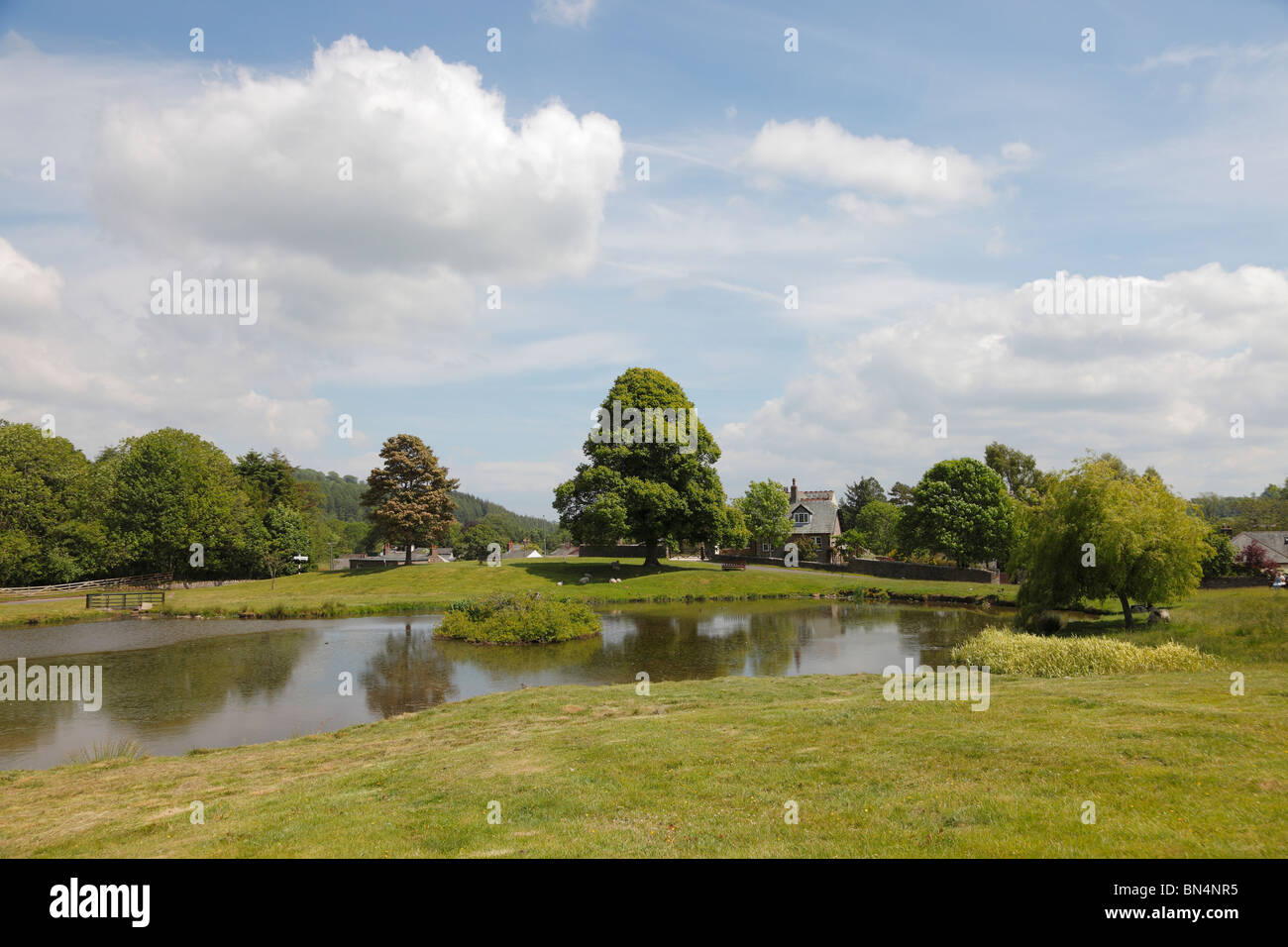 Duck Pond Caldbeck, The Lake District Cumbria sunny summers day with ...