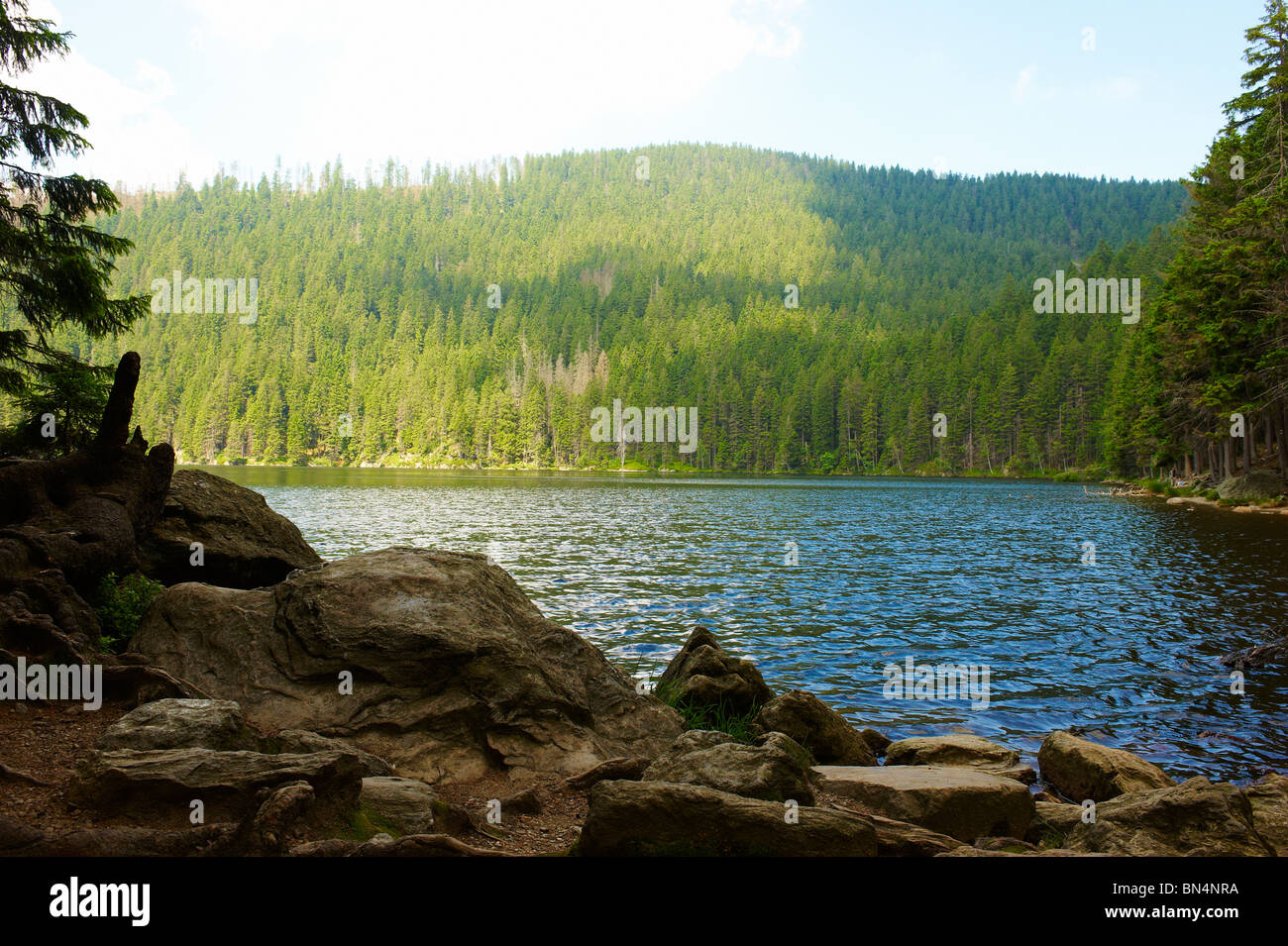 Certovo jezero, Spicak, NP Sumava, Ceska republika Stock Photo - Alamy