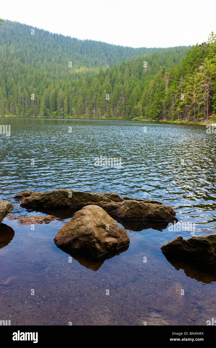 Certovo jezero, Spicak, NP Sumava, Ceska republika Stock Photo - Alamy
