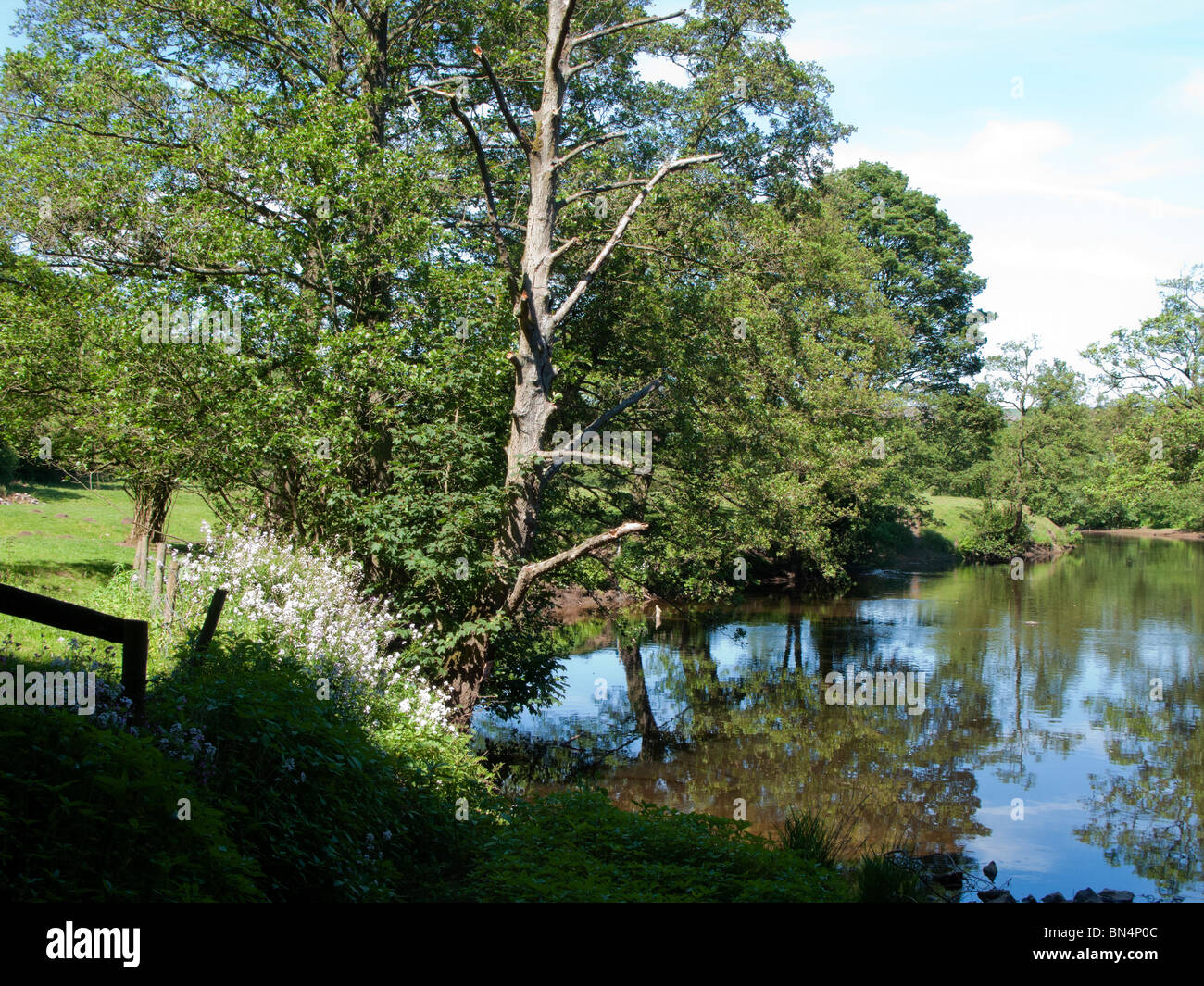 River Wye at Rowsley, Peak District, Derbyshire Stock Photo - Alamy