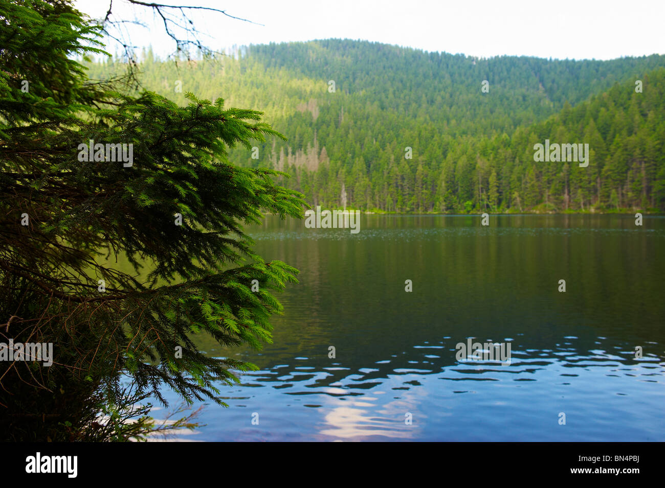Certovo jezero, Spicak, NP Sumava, Ceska republika Stock Photo - Alamy