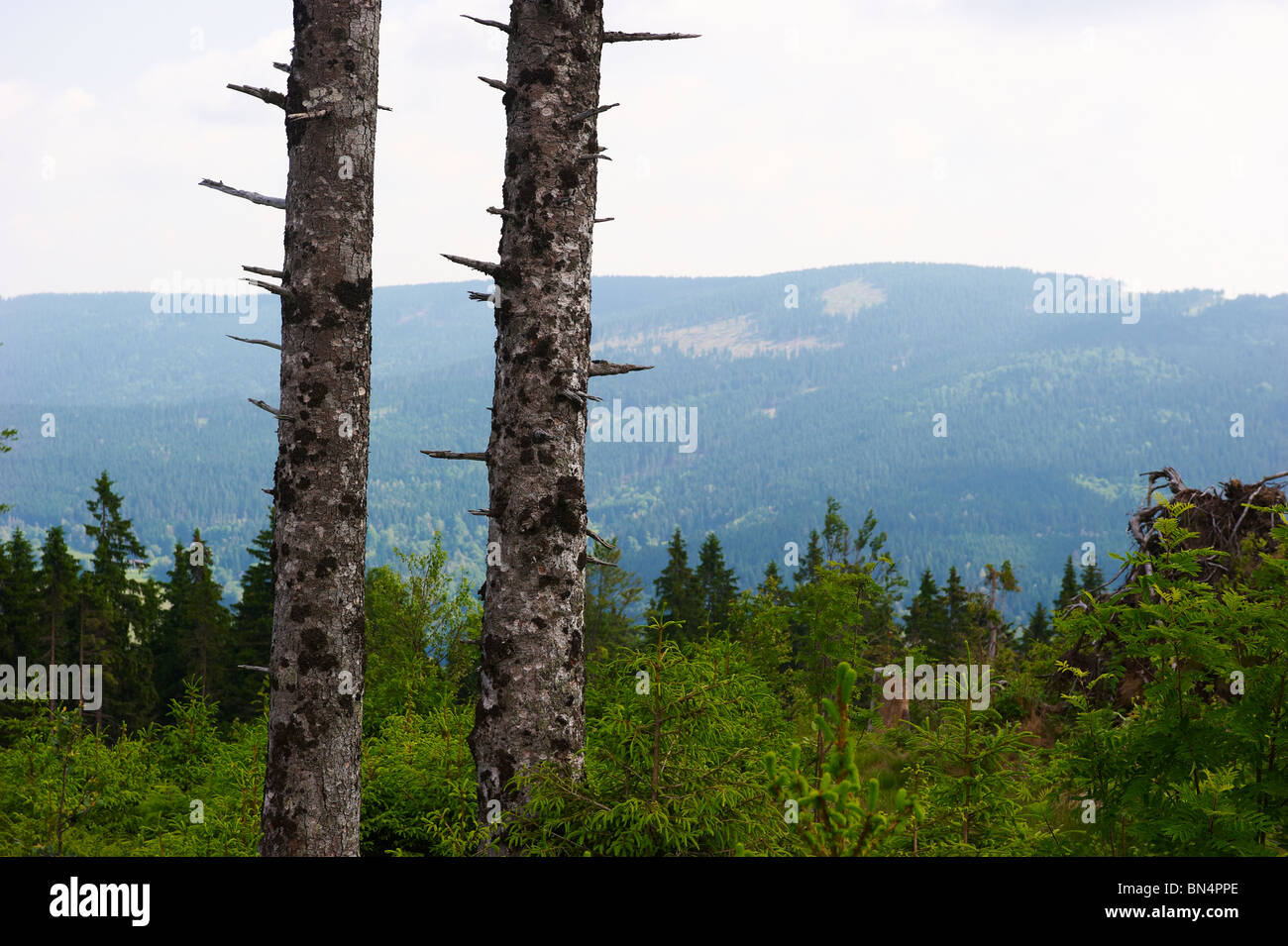 Spicak hill, Zelezna Ruda, NP Sumava, Ceska republika Stock Photo - Alamy