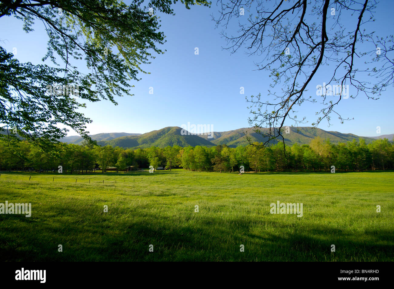A scenic spring view of Cades Cove in Great Smoky Mountains National ...