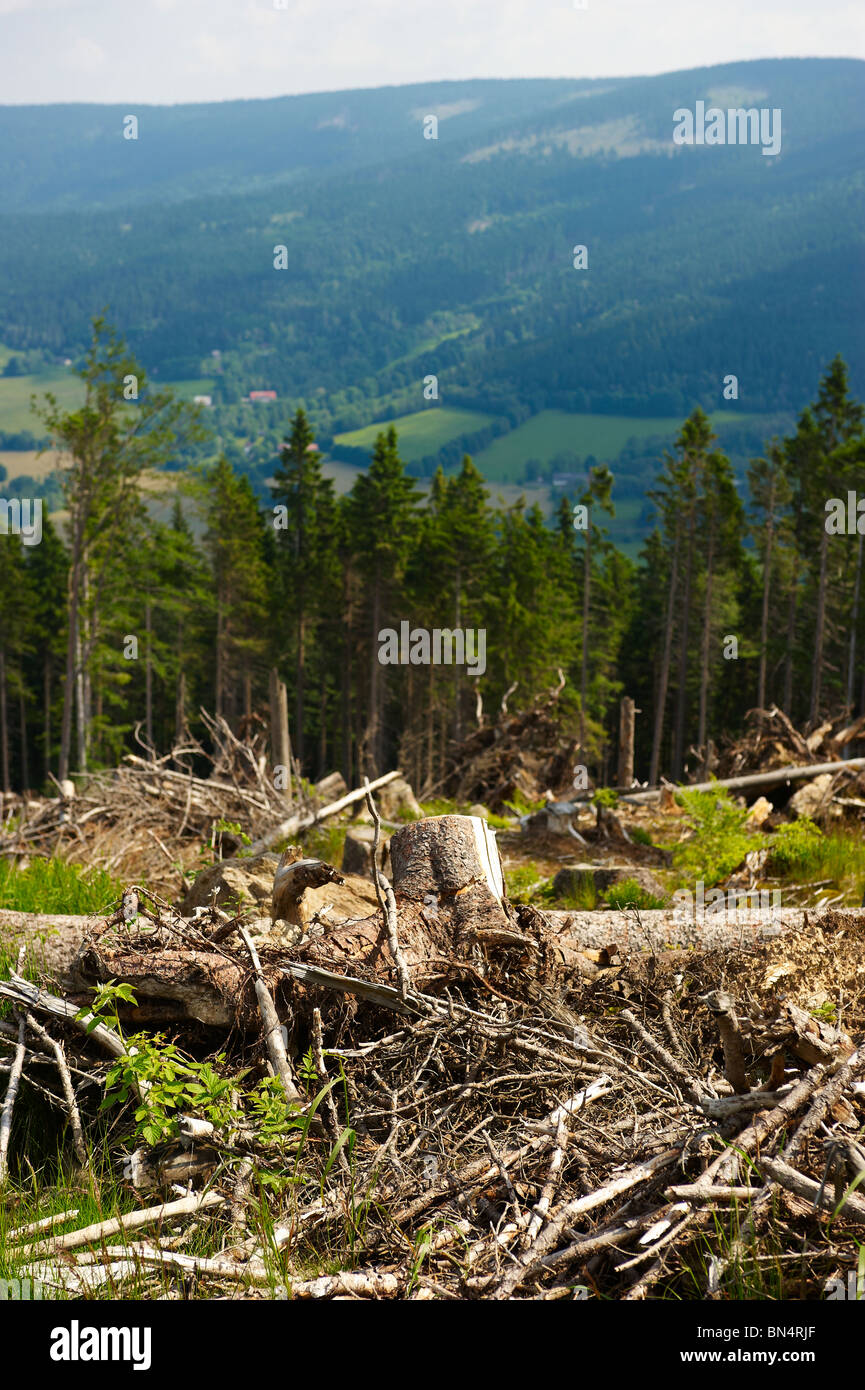 Spicak hill, Zelezna Ruda, NP Sumava, Ceska republika Stock Photo - Alamy