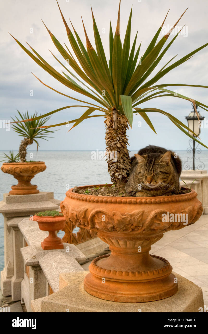 Castello di Miramare (Miramare castle) was built in 1855-60 for ...