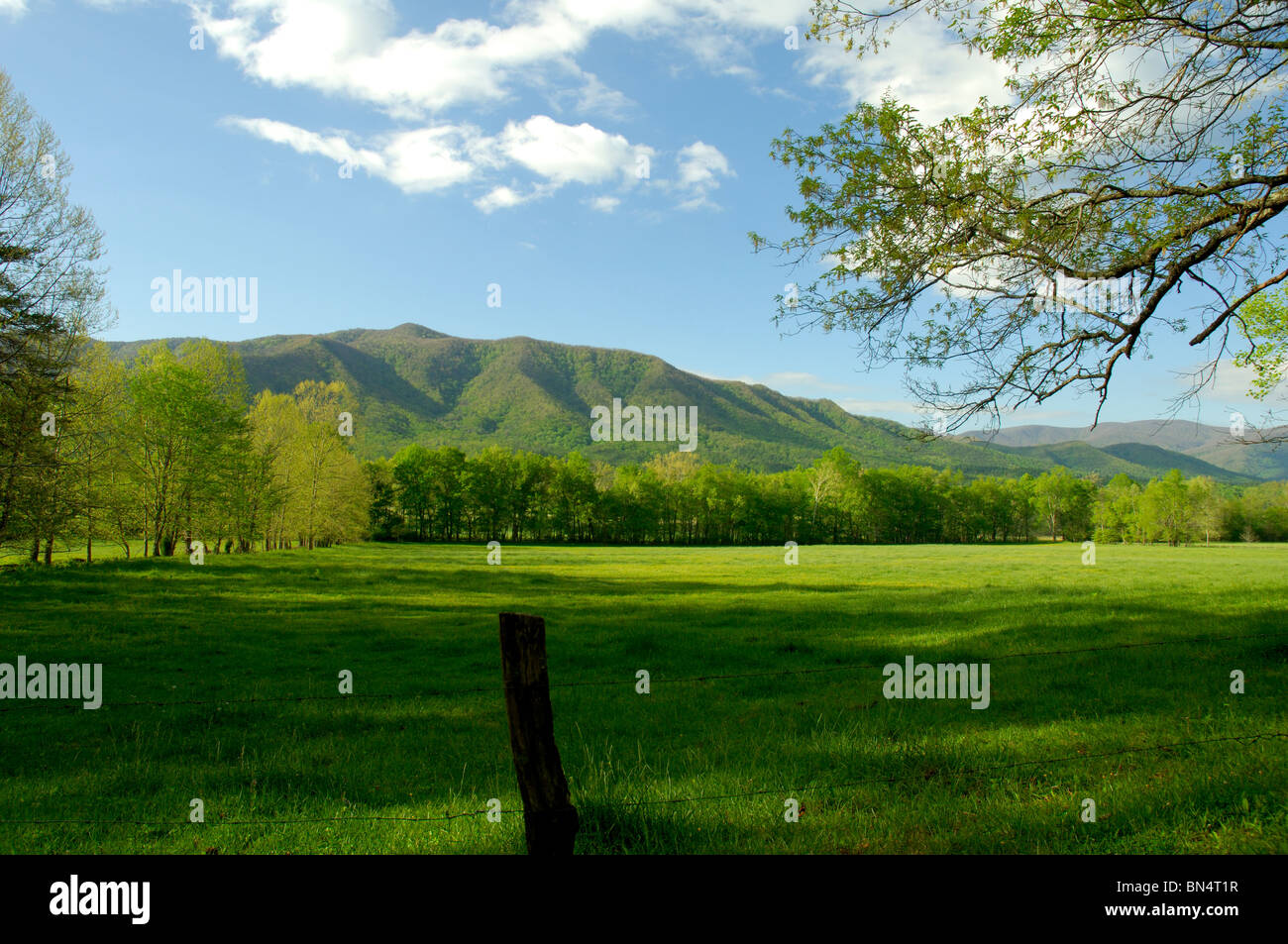 A scenic spring view of Cades Cove in Great Smoky Mountains National ...