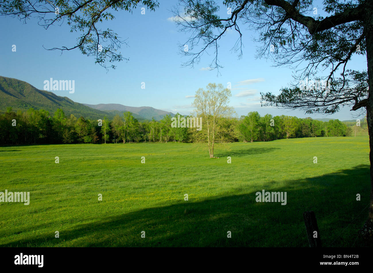 A scenic spring view of Cades Cove in Great Smoky Mountains National ...