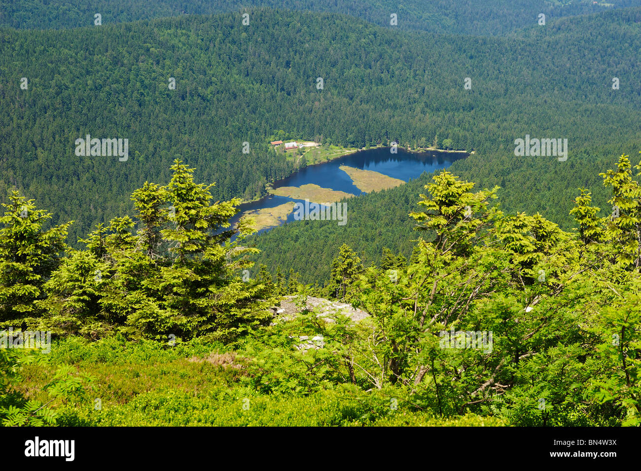 Großer Arber Great Arber Velký Javor, highest peak of the Bavarian ...