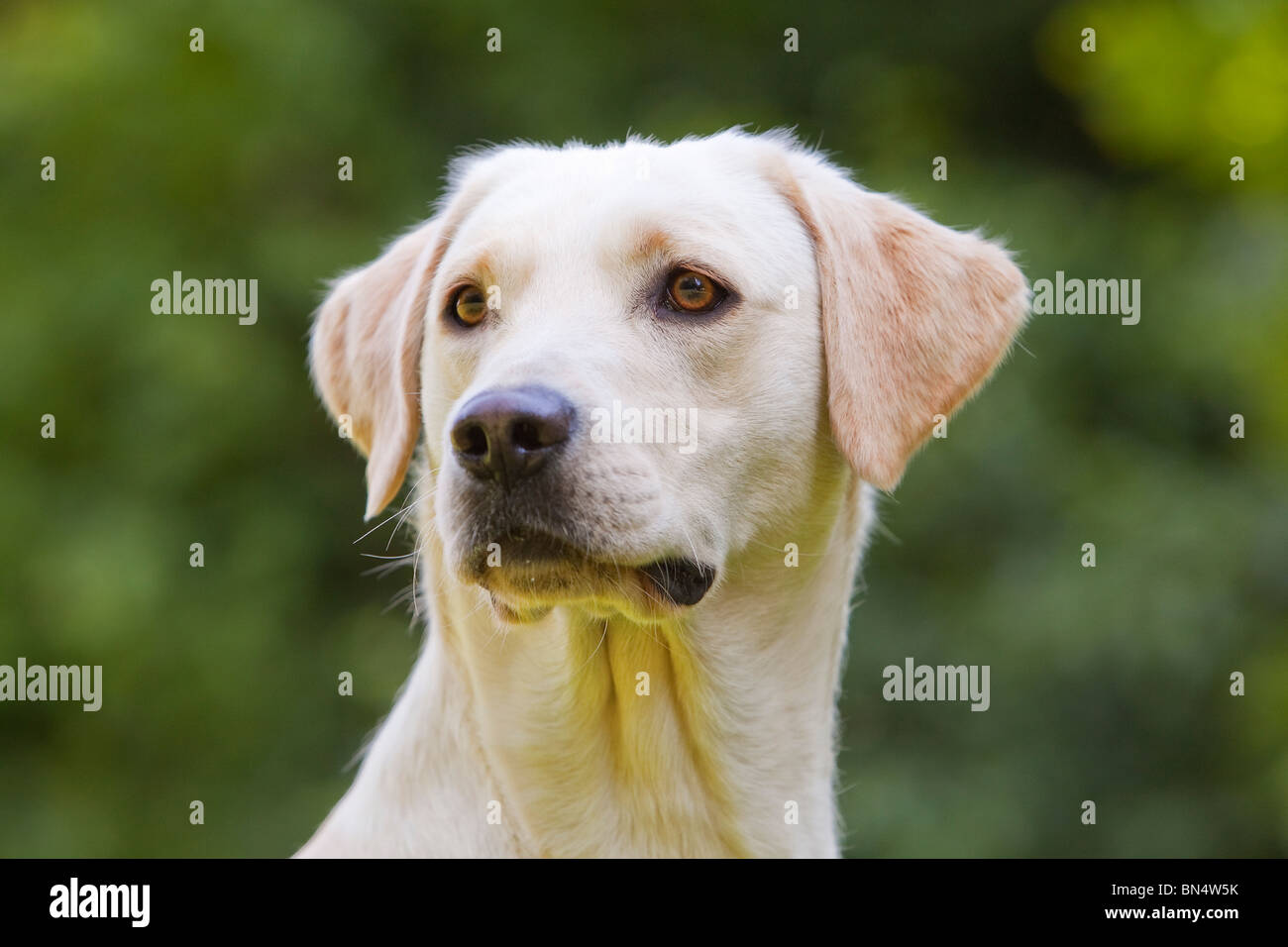 Yellow outside hi-res stock photography and images - Alamy