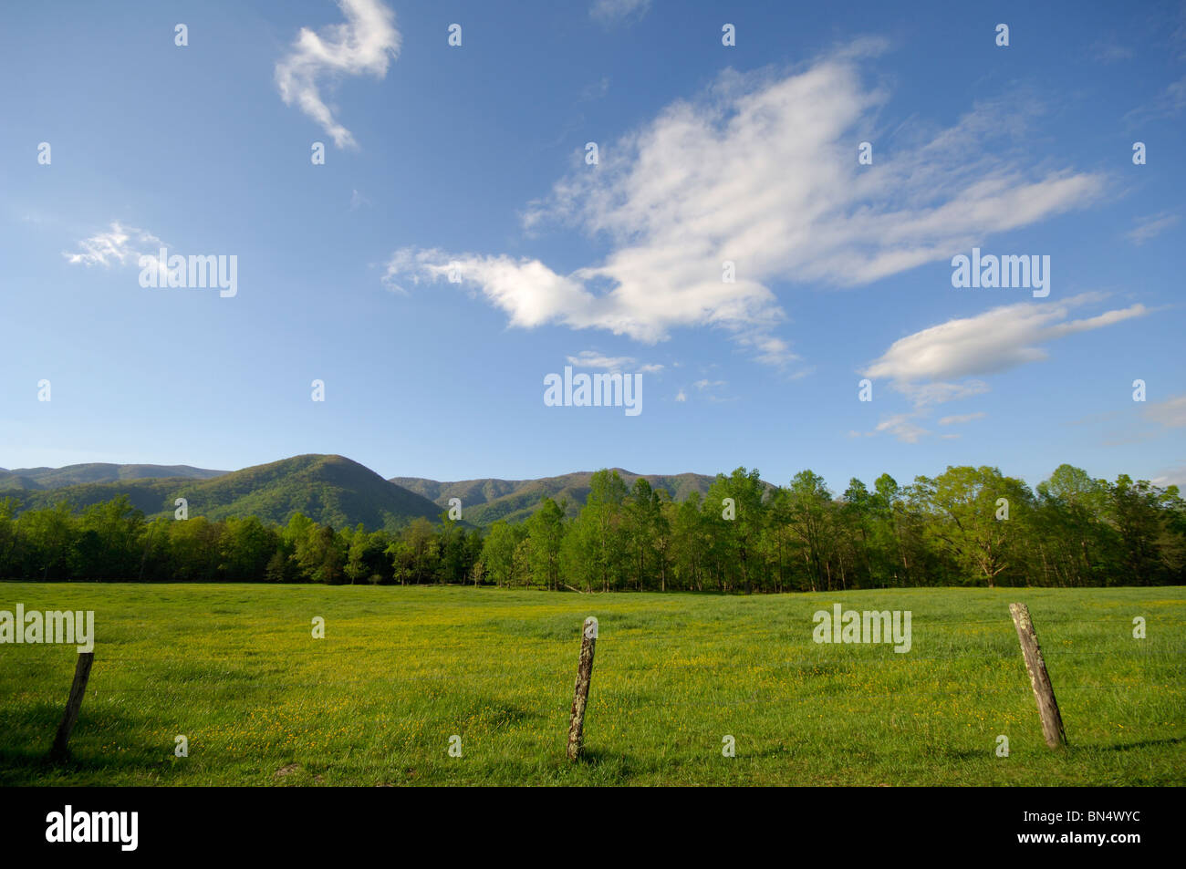 A scenic spring view of Cades Cove in Great Smoky Mountains National ...
